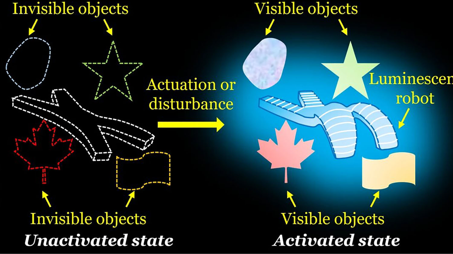 Из водорослей создали светящийся материал, которому не нужна энергия