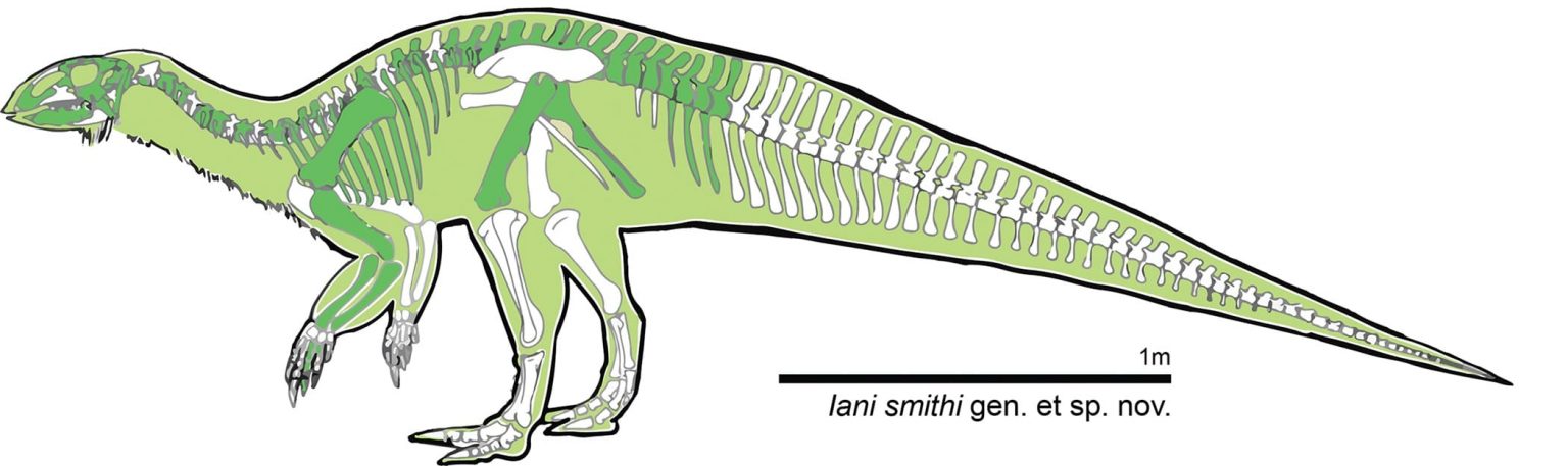 Найден «один из последних динозавров»: он жил в эпоху перемен