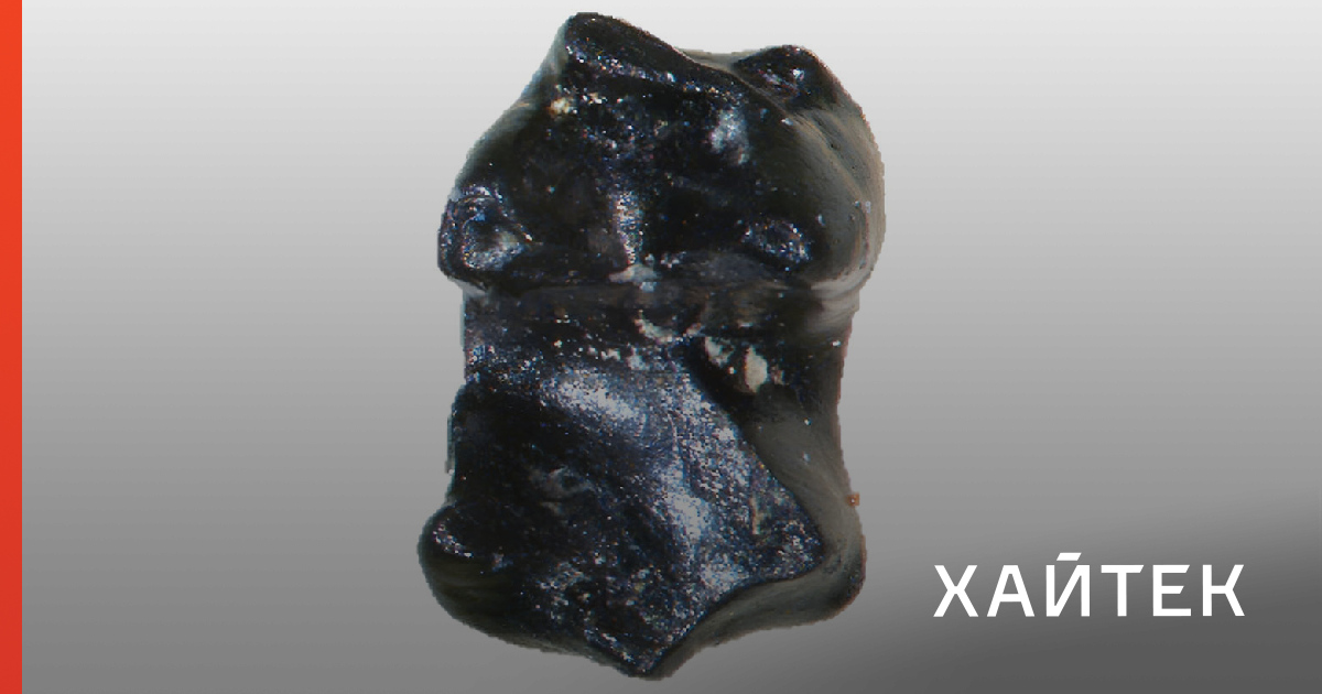 Крошечную «ледяную мышь» нашли на Аляске: она жила 73 млн лет назад