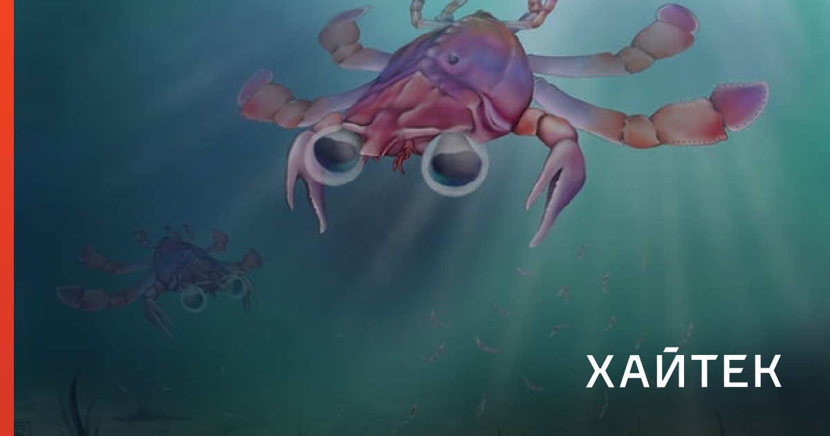 Посмотрите на древнего краба-утконоса — он может изменить представления ...